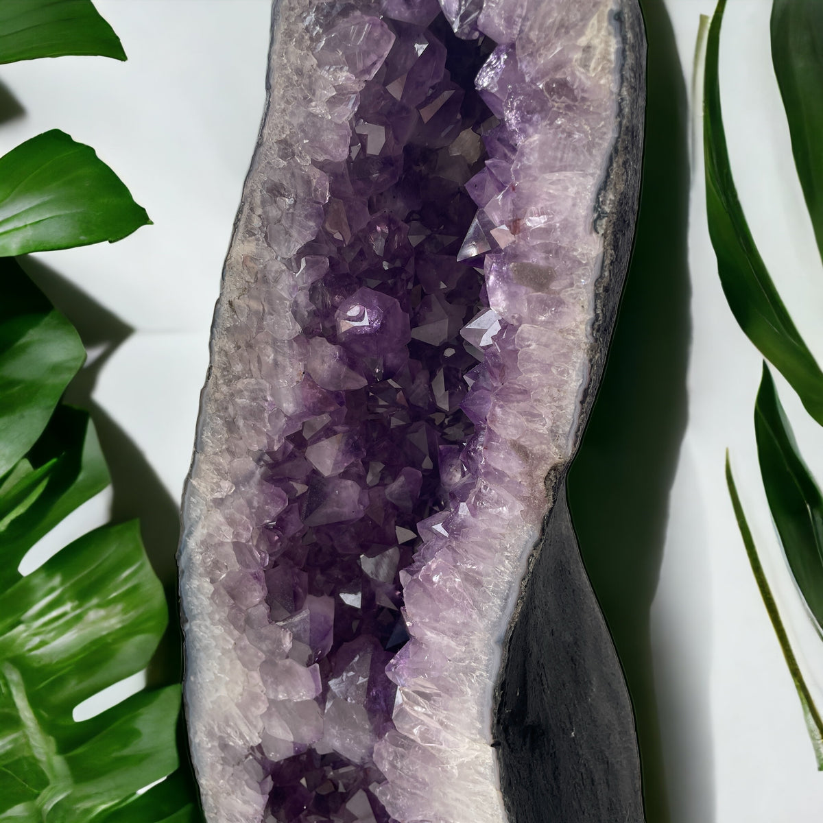 Amethyst Druse XXL 29,7KG – awaker
